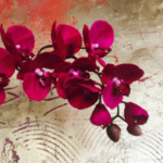 Adam Sellars | NewObits.com